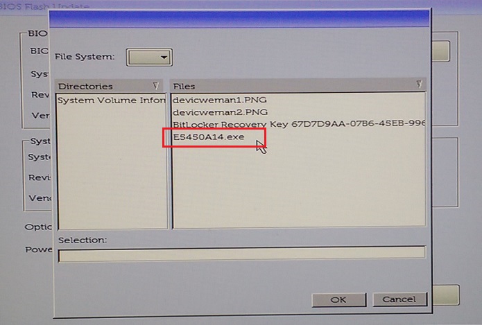 Flashing the BIOS from the F12 One-Time Boot Menu | Dell Jamaica