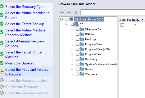 Nvp Vproxy Flr Mount Succeeds But Instantly Fails Browse Operation With Unable To Perform Flr 3050