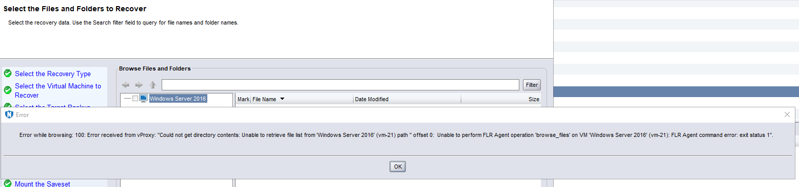 Nvp Vproxy Flr Mount Succeeds But Instantly Fails Browse Operation With Unable To Perform Flr 5912