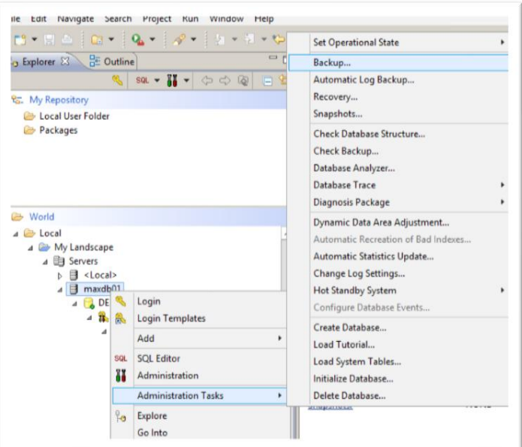 NetWorker: SAP MaxDB Backup, Restore, and Citations | Dell US