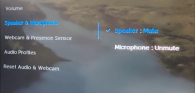 Using Command Line to Set Microphone Mute Unmutes the Dell P3424WEB ...