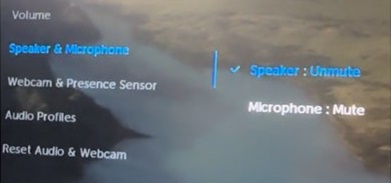 Using Command Line to Set Microphone Mute Unmutes the Dell P3424WEB ...
