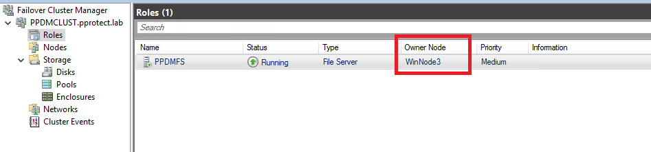 Powerprotect File Level Restore Of Shared Cluster Disk Fails If The Original Host Option Is