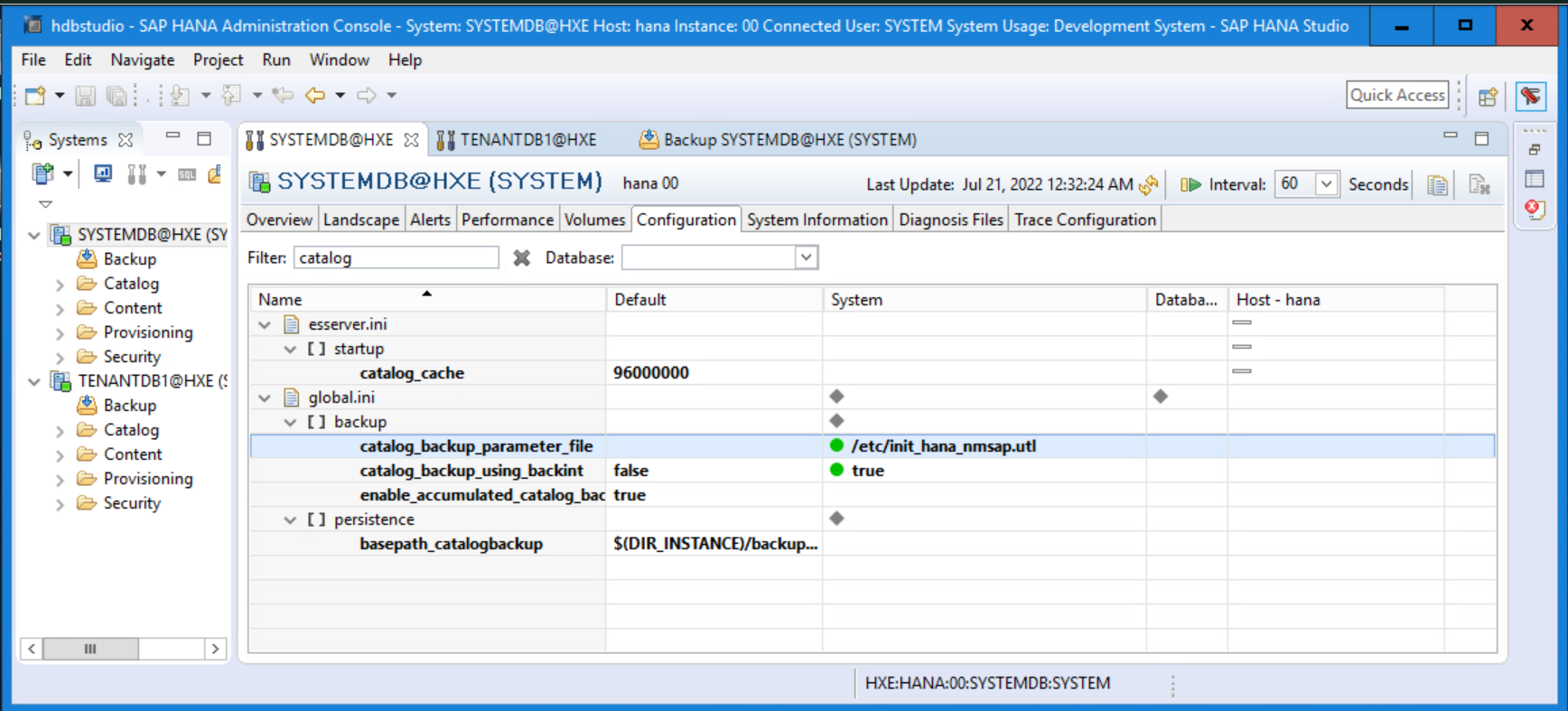 NetWorker：如何备份 SAP HANA 的“备份目录”。 | Dell 中国