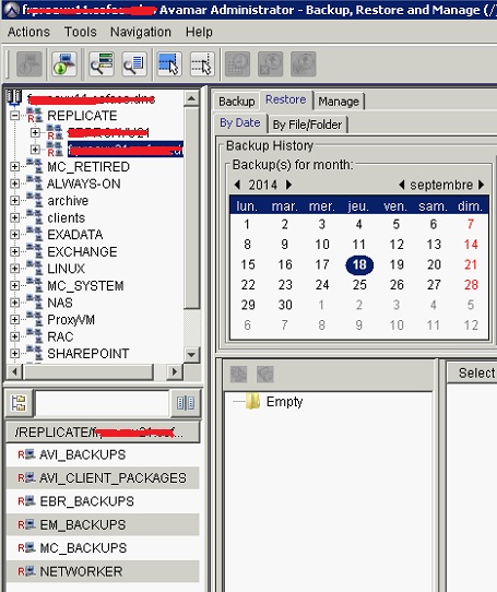 Why does an Avamar replication source system send internal data to the ...