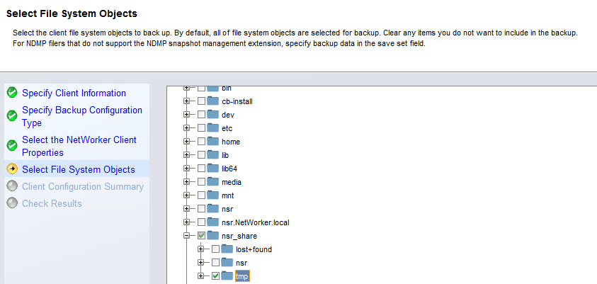 NetWorker: How To Backup Linux Cluster Shared Volume | Dell India