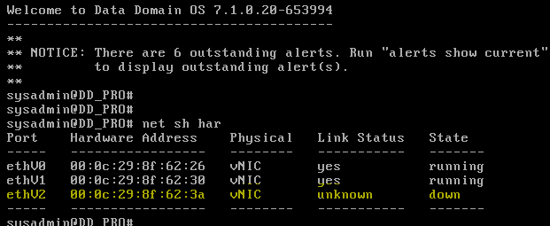 PowerProtect: How to add a new Data Domain Virtual Edition NIC in ...