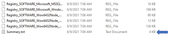 Microsoft SQL Server Summary.txt Log | Dell US