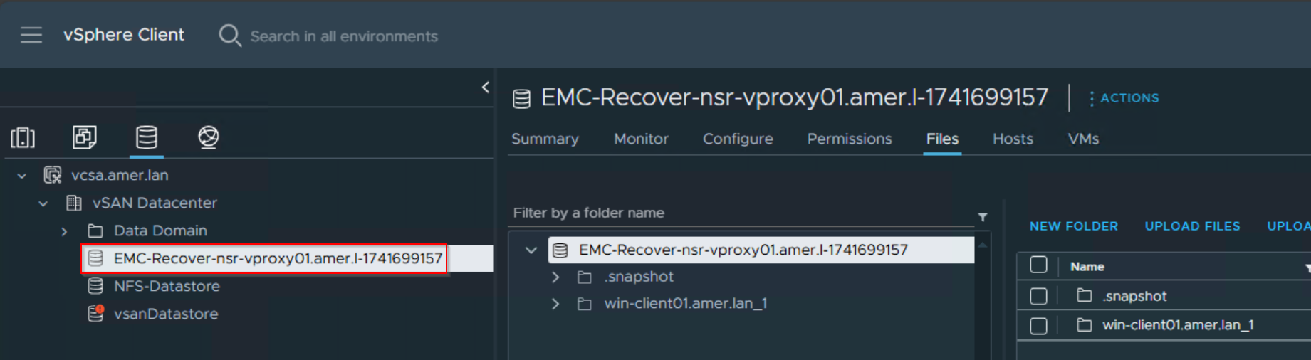 NVP vProxy: Instant VM Restore left behind NFS mounts on Data Domain and VMware | Dell US