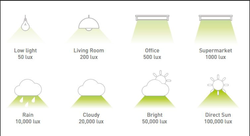 Integrated webcam Flickers on Dell Laptops for Brightness Changes | Dell UK