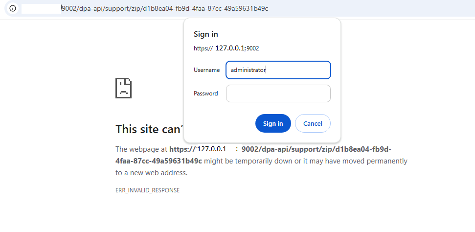 Data Protection Advisor: Opening a report the login requires multiple ...