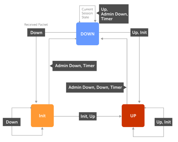 Dell Networking SONiC : détection de transfert bidirectionnel (BFD ...