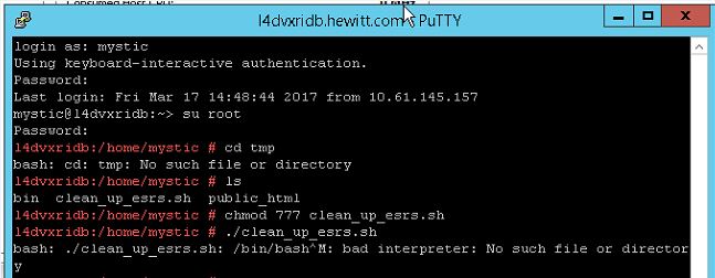 VxRail：指令檔錯誤： 砰：./clean_up_esrs.sh：/bin/bash^M：錯誤的解釋器 | Dell 香港
