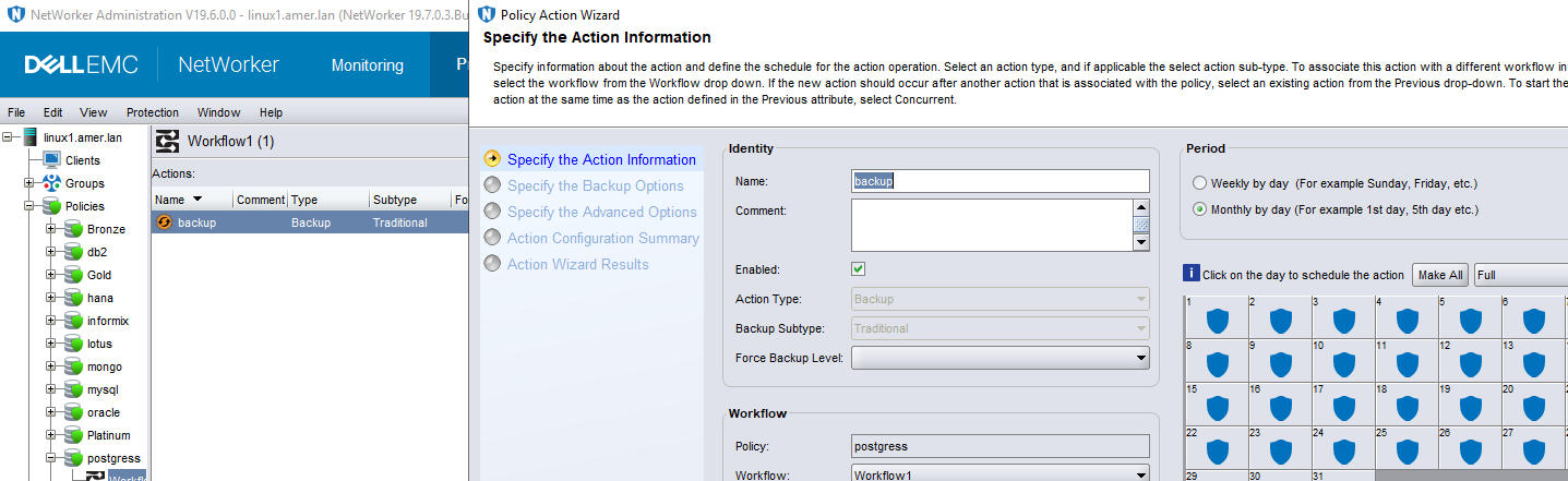 Networker Postgresql Database Backup Is Not Completing With Error The Parameter Nsrbackup