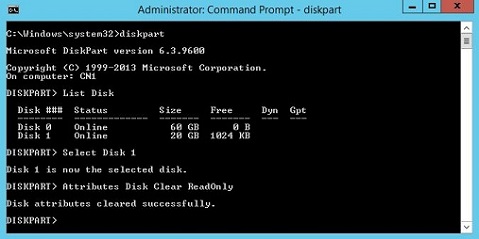 Cluster disk fails and marked as read-only | Dell US