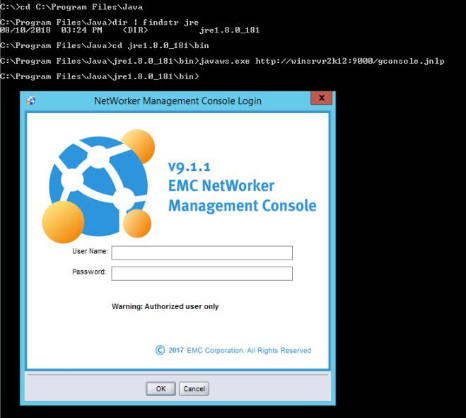 NetWorker: NMC no se abre con el error "Cannot determine a valid Java Home" | Dell México
