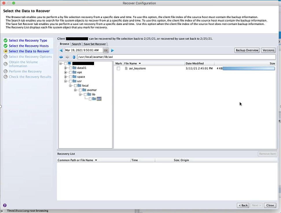 NVE Server Backup saveset recover does not restore /usr/local/avamar/var/ avi/server_data and ...