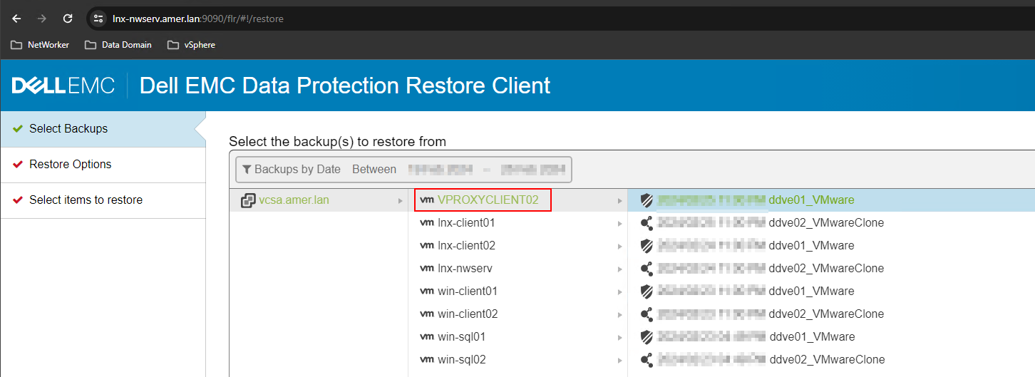 NVP vProxy: VM does not appear as a target in the FLR Web Client | Dell Philippines
