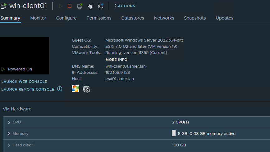 NVP vProxy: Understanding VMware VM backup levels shown in NetWorker ...