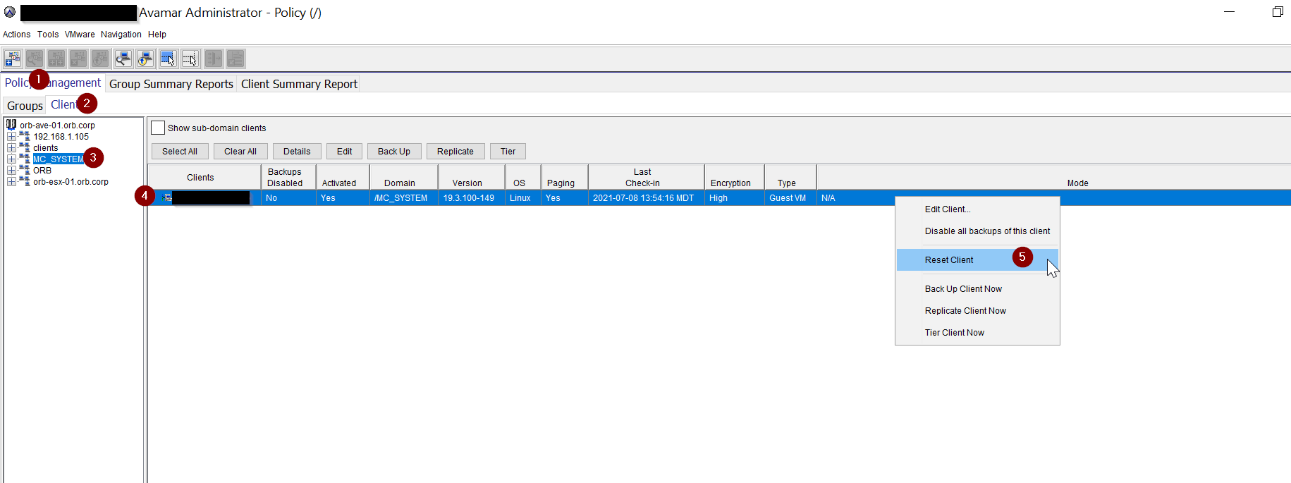 Avamar - Instant Access Restore stuck at Waiting-Client status | Dell US