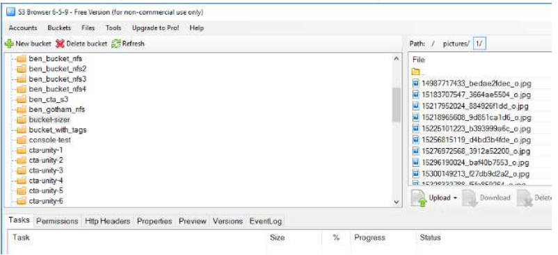 ECS: How to connect ECS with S3 Browser | Dell Trinidad and Tobago
