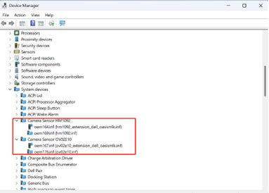Dell Laptop Camera Not Working in Teams, Zoom, and Windows Camera ...