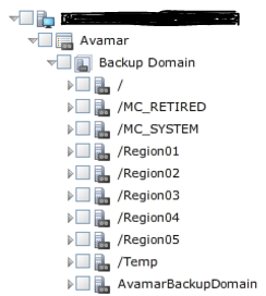 DPA: Avamar에서 새로 생성된 도메인은 DPA에 표시되지 않습니다. | Dell 대한민국