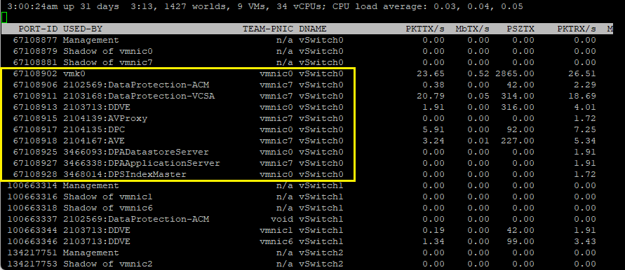 IDPA: After DP4400 was deployed, some but not all the VM IP addresses are inaccessible | Dell Cyprus