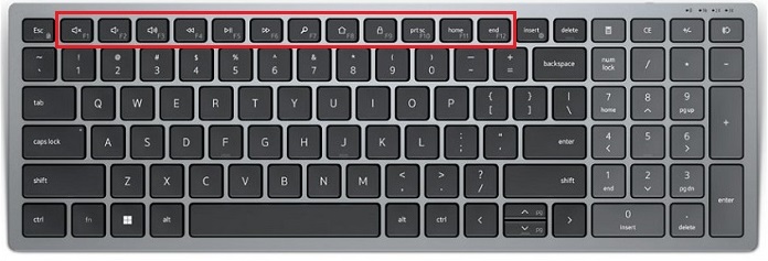 Dell Wireless Keyboard Behavior in macOS | Dell US