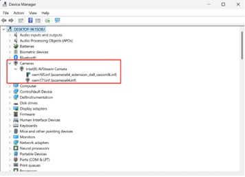 Dell laptopcamera werkt niet in Teams, Zoom en Windows Camera ...
