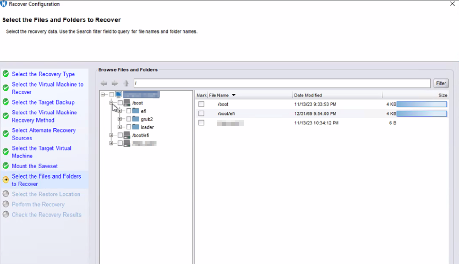NVP vProxy: Red Hat 9 VM does not show some folders during an FLR. | Dell India