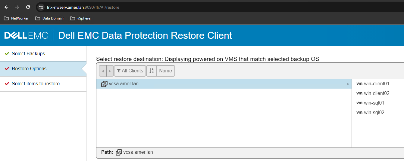 NVP vProxy: VM does not appear as a target in the FLR Web Client | Dell US