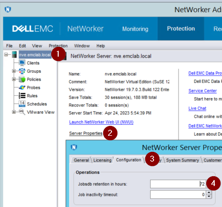 NetWorker Virtual Edition: How to increase /data01 partition size (XFS) | Dell US