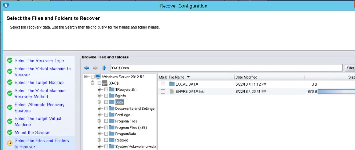 NVP-vProxy: VMware FLR browsing only displays the most recent file versions | Dell US